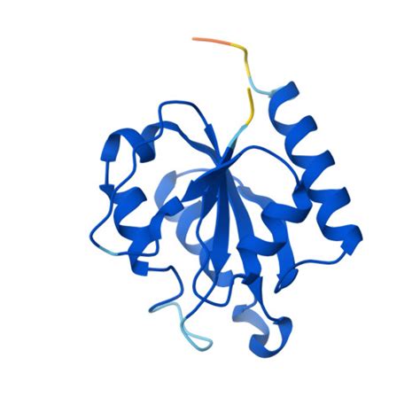 Rcsb Pdb Afafc4zys6f1 Computed Structure Model Of Protein Nrdi