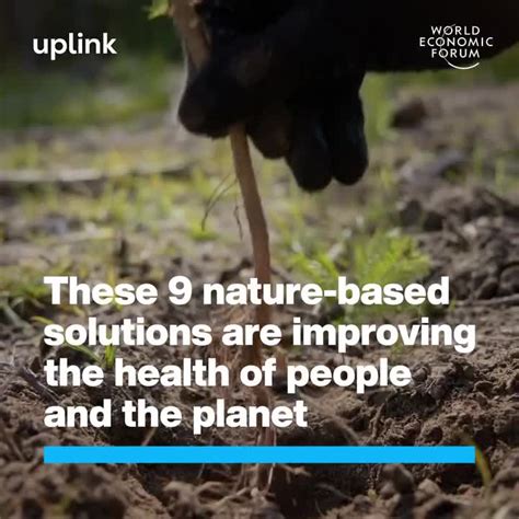 Video Drgeetha Plackal Posted On Linkedin