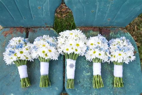 10 Inexpensive Flowers Youll Love