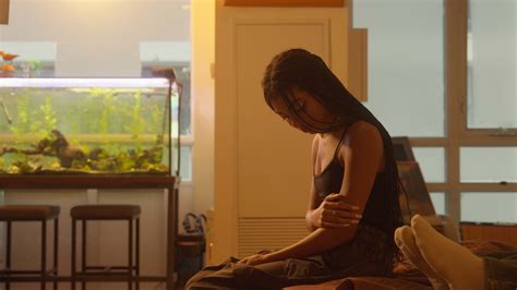 Sex Lives Report By Letsstopaids