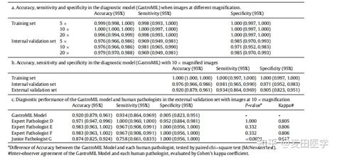文献速递：深度学习疾病预后 使用深度学习对数字病理图像进行胃癌的准确诊断和预后预测：一项回顾性多中心研究 知乎