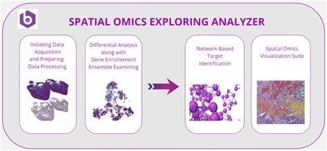 Exploring Spatial Omics The Mapping The Microscopic World