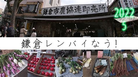鎌倉野菜の直売所レンバイで今売っている野菜の最新情報を野菜ソムリエプロが解説テレビでは絶対に見れないここだけの情報 YouTube