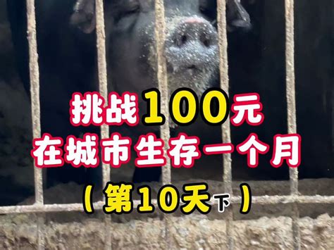 挑战100元在城市生存一个月（第十天） 张三吽酱 张三吽酱 哔哩哔哩视频