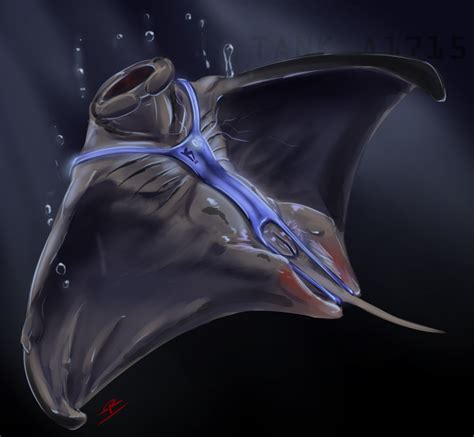 Rule 34 2017 Batoid Blue Clothing Blue Swimwear Bubble Clothing