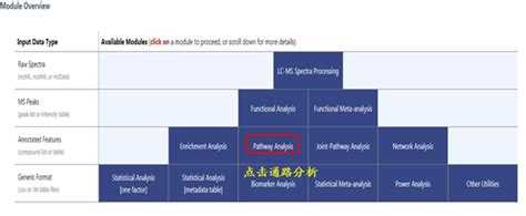 精工致善丨代谢通路分析 知乎