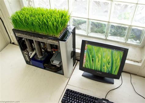 This Working Computer Also Grows Grass Others
