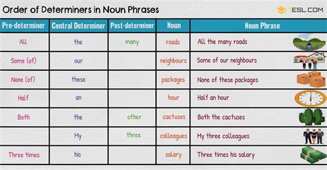 Order Of Determiners 7 E S L