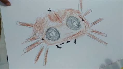 Lucas The Jumping Spider Youtube