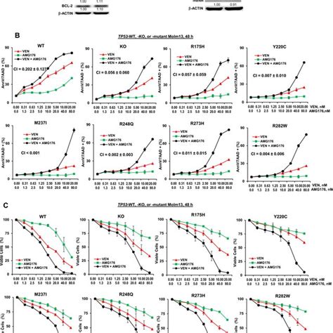 Combined Inhibition Of Bcl 2 And Mcl 1 Synergistically Induces Cell