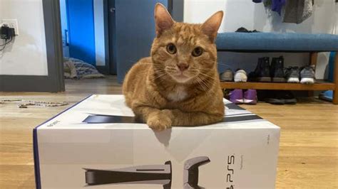 Heres How Weve Set Up Our Ps5s