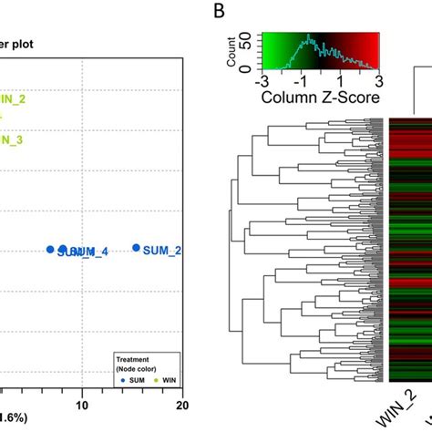 Morphological And Molecular Characterization Of Evs Western Blot