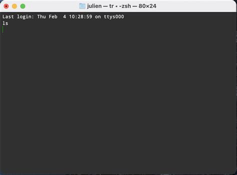 Prompt Not Load After Last Macos Bigsur Update · Issue 907 · Spaceship