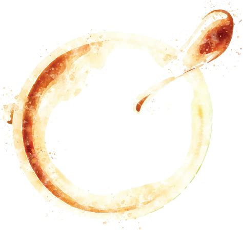 Coffee Stain Illustration 24077404 Vector Art At Vecteezy