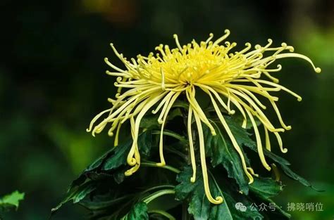 青山處處埋忠骨 澳門特區經濟報