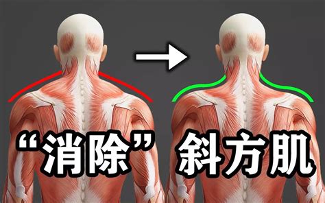 每天10分钟轻松消除斜方肌改善斜方肌肥大酸痛 哔哩哔哩