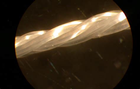 Medical Biomaterials As The Basis Of Medical Devices Biomatdb