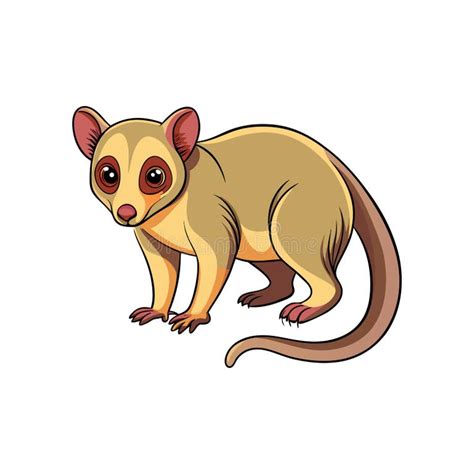 Charming Cuscus Realistic Artwork Stock Illustration Illustration Of