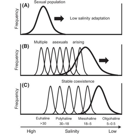 The Evolutionary Process Of The Sexualasexual Distribution Pattern Of Download Scientific The Evolutionary Process Of The Sexualasexual Distribution Pattern Of Download Scientific