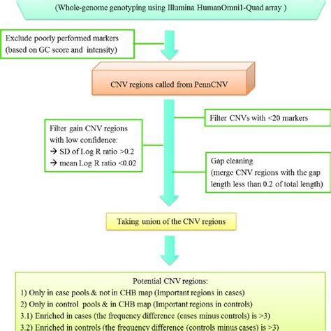 The Flow Chart Of The Criteria For Copy Number Variation Cnv Analysis