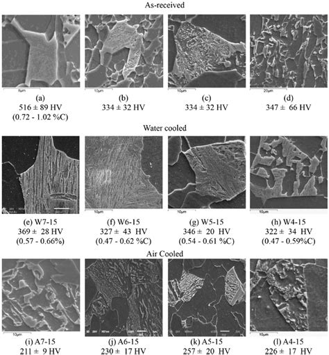Microstructural Details In Proeutectoid Ferrite Matrix Observed By