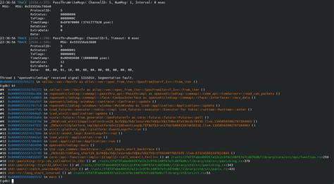 Bug App Crash On Linux When Receiving First Can Msg Issue