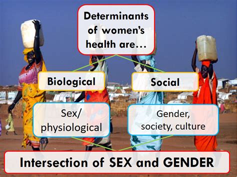 Sexuality As Social Determinant Of Health Hotsell