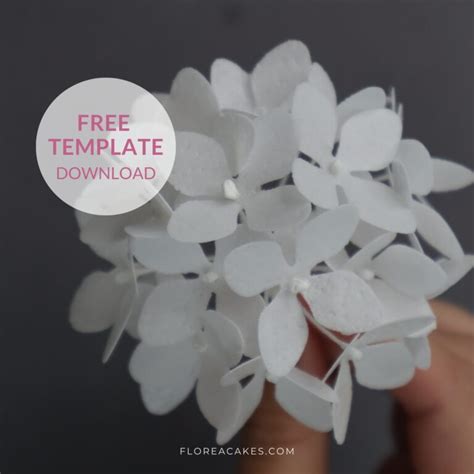 What Is Wafer Paper How To Use Wafer Paper Florea Cakes