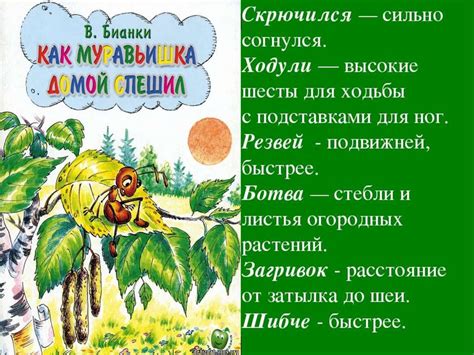 В.В. Бианки «Как муравьишка домой спешил» - презентация онлайн