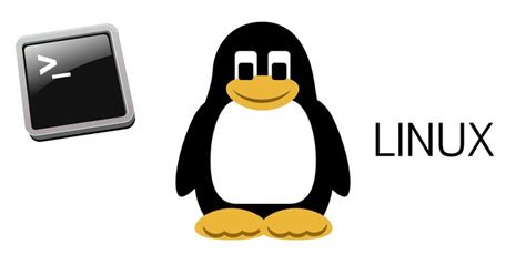 Exámenes De Linux Conceptos Básicos Rha030 Ubuntu Iptables