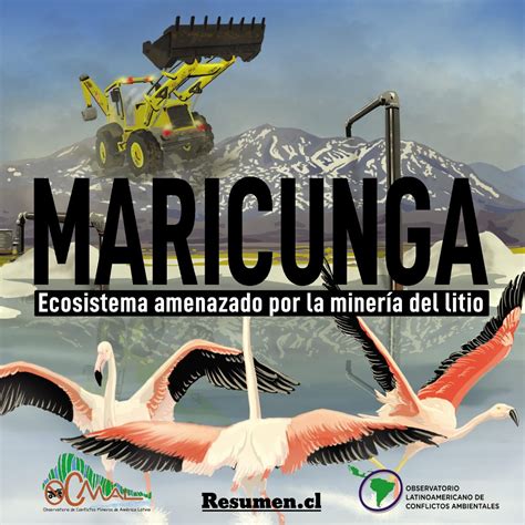 En solo dos décadas el salar de Maricunga podría estar totalmente degradado con la minería del