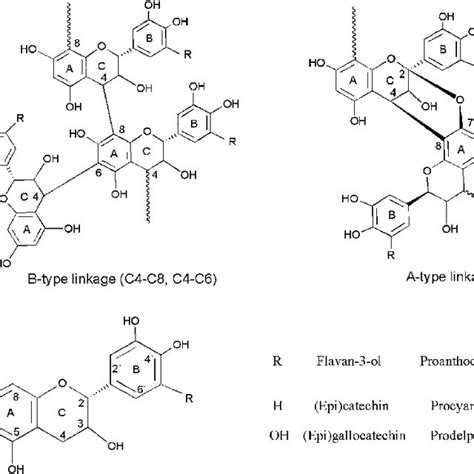 Chemical Structure Of Flavan 3 Ol Monomer Units And Proanthocyanidins