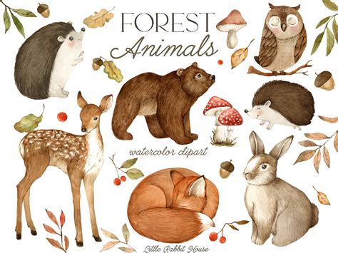 Watercolor Forest Animals Bundle On Behance