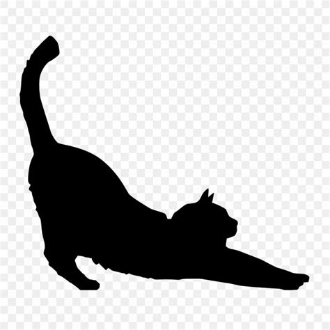 Black Cat Silhouette Kitten Clip Art Png 1000x1000px Cat Black
