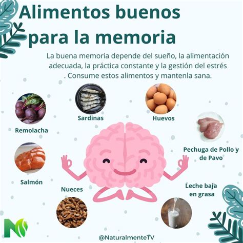 Alimentos Buenos Para La Memoria