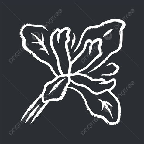 Gambar Iris Douglas Png Vektor Psd Dan Clipart Dengan Background
