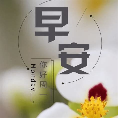 每日一签日历图片，今日7月11日，早安！ 冬日 记忆 日历