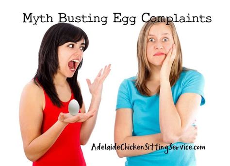 Blog Adelaide Chicken Sitting Service