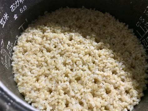 玄米飯 ururundoの雑記帳