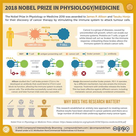 The 2018 Nobel Prize In Physiologymedicine Unleashing Our Immune