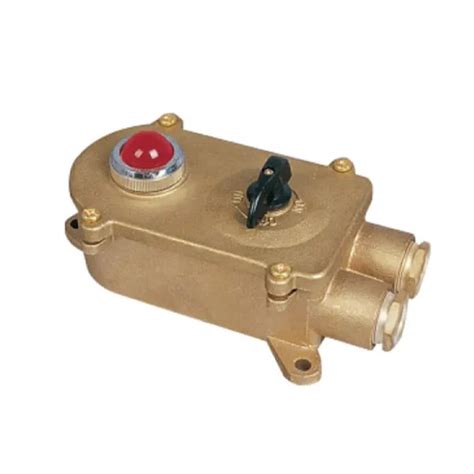 Hsd2 2 Marine Brass Switch With Indicator Light