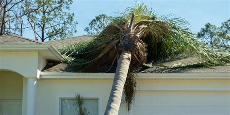 10 Design Tips For A Sustainable Hurricane Proof House In Florida