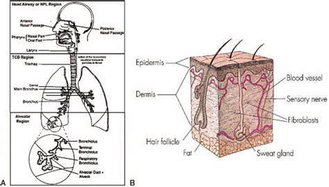 Journal Of Occupational And Environmental Medicine