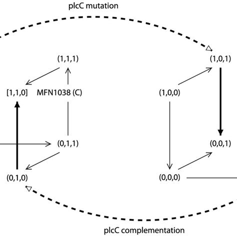 Illustration Of Property On Network Asynchronous State Graphs Are