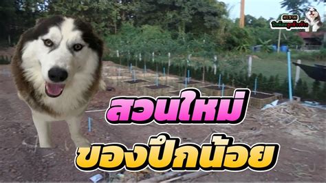 “เป็นชาวสวน”เมื่อแม่จะเปิดไลน์ธุรกิจใหม่ ให้สองแสบ มะขาม ปึกน้อย ลูก