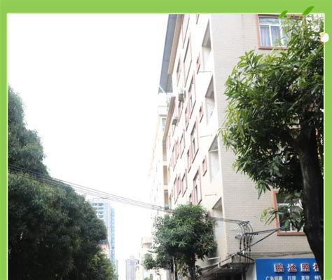 全民志愿行 共创卫生城——南宁市银海三雅学校开展爱国卫生运动 校园新闻 南宁市银海三雅学校