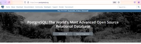 Ketahui 10 Contoh Database Populer Untuk Pengelolaan Data Hosteko Blog