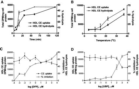 Coincidence Of HDL CE Uptake And Hydrolysis And Inhibition Of HDL CE