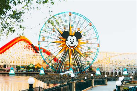 Knotts Berry Farm Disneyland Look To Newsom For Reopening Rules Lamag
