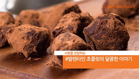 유정선배에게 전해주고 싶은 발렌타인데이 초콜릿 선물 고민 Ldpe로 해결